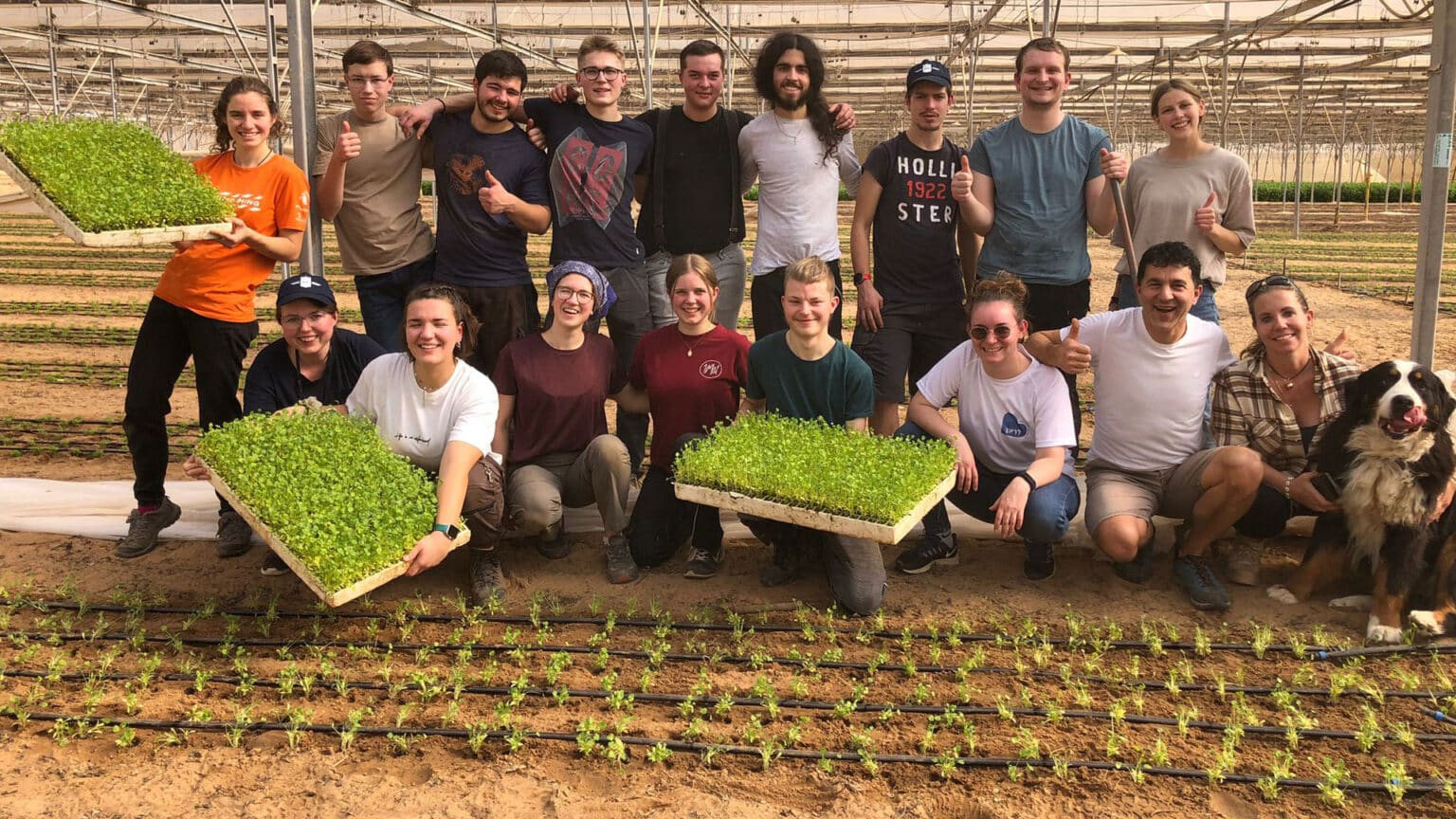 Kriegstomaten in der Wüste - Israelnetz