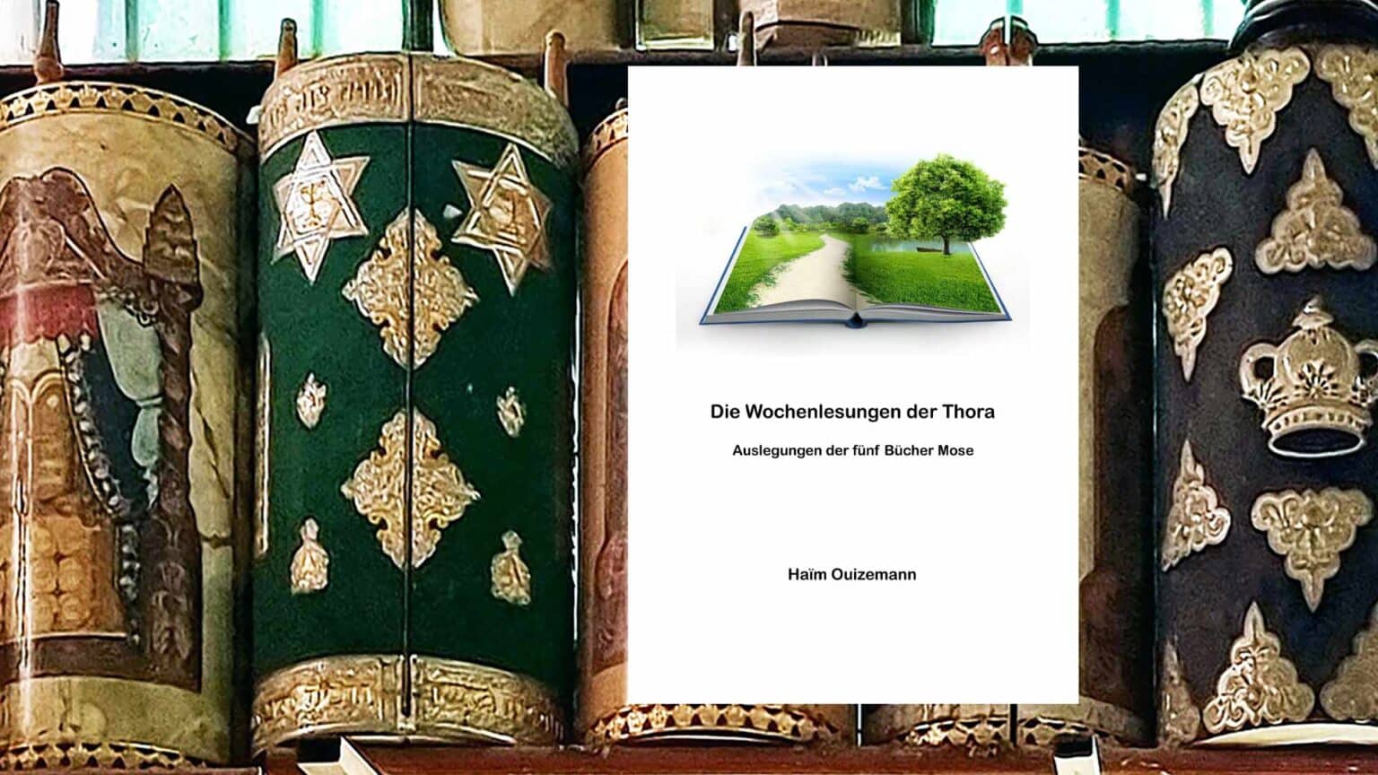 Einstieg in das jüdische Tora-Studium - Israelnetz